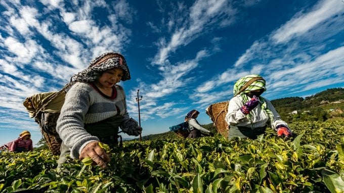 I lavori meno pagati al mondo: la classifica